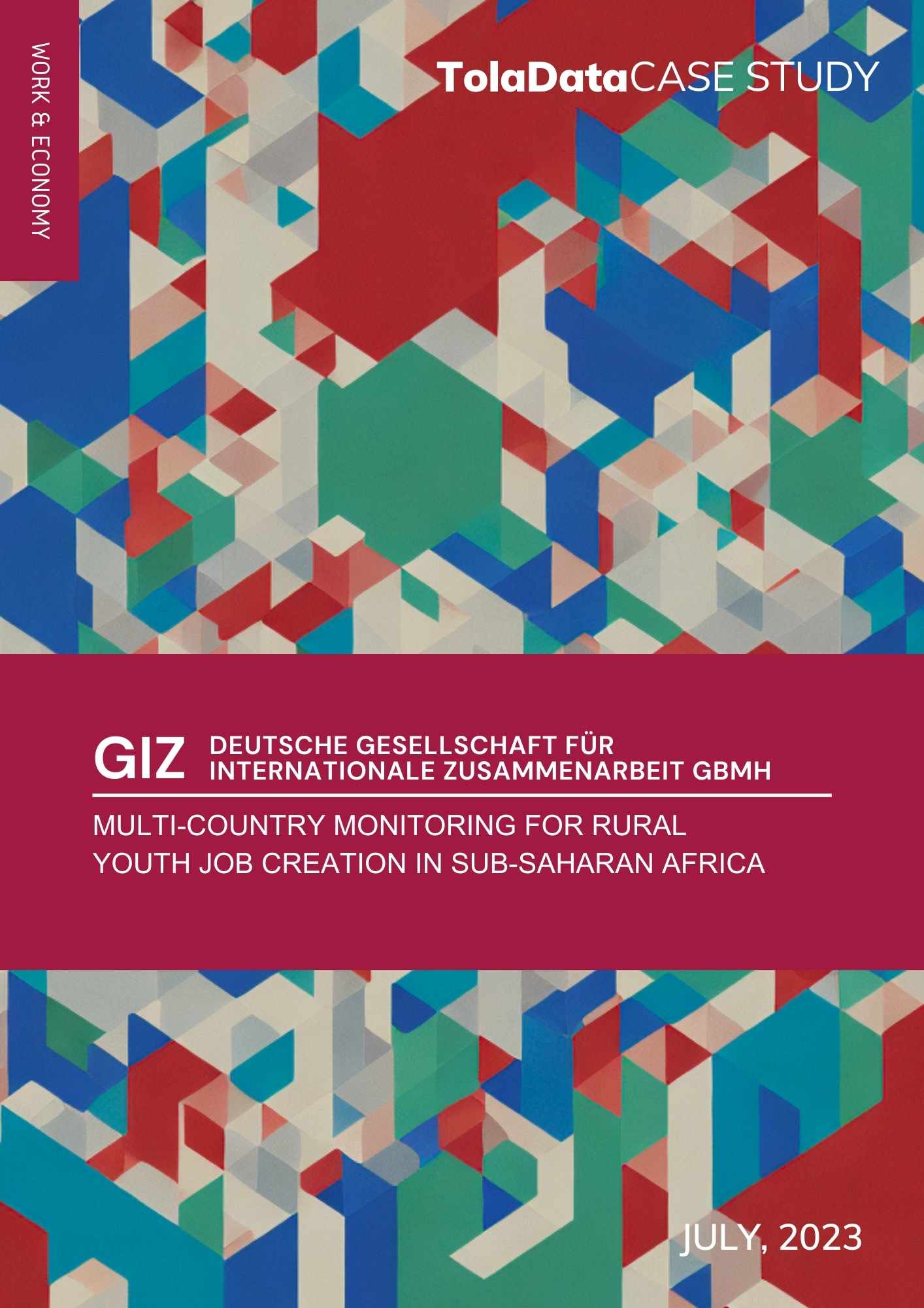 Case Study - GIZ: Multi-Country Monitoring for Rural Youth Job Creation in Sub-Saharan Africa ...