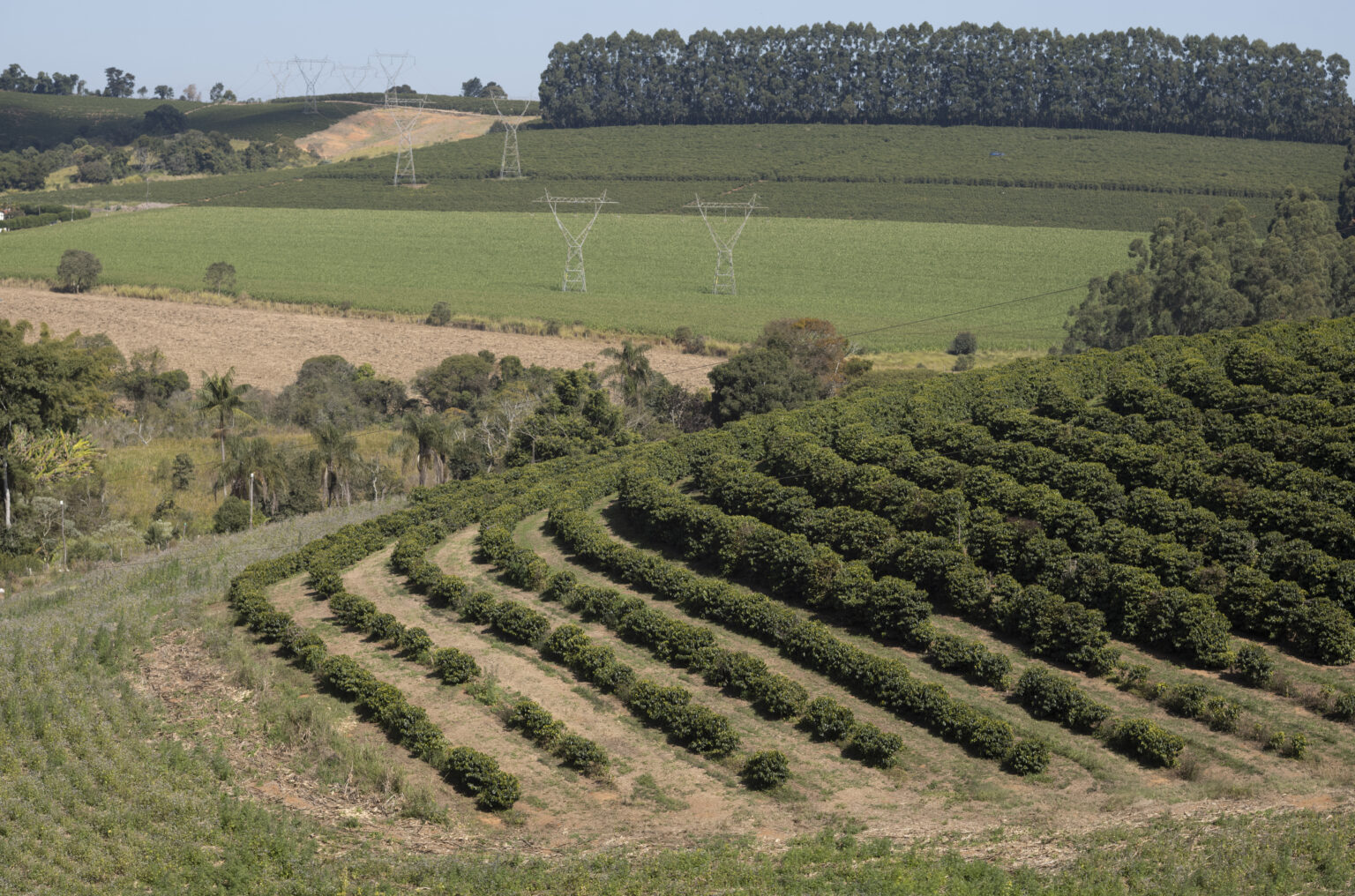 Fairtrade International's Digital Journey - TolaData